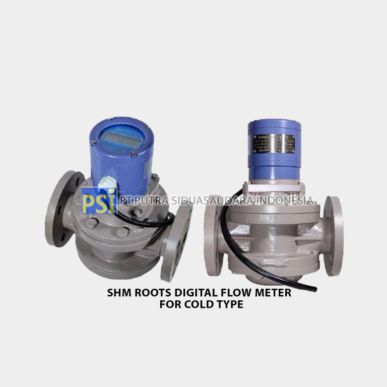 SHM ROOTS FLOW METERS DN50 (2 INCH)